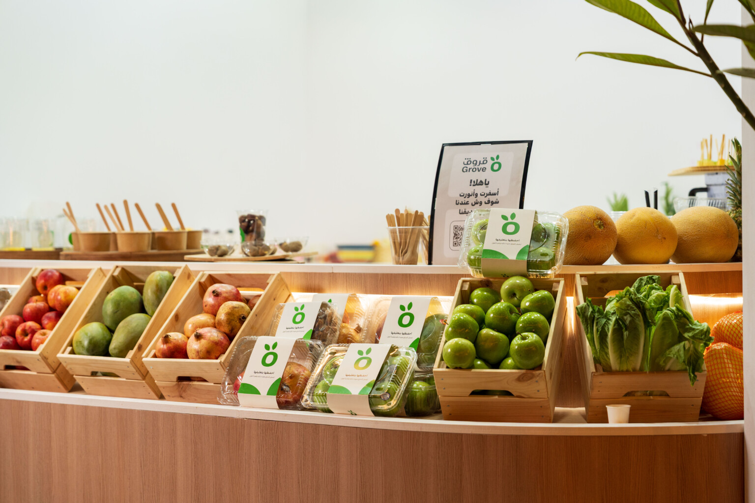Outliers Leads Grove’s $5M Seed Round to Build the Future of Fresh ...